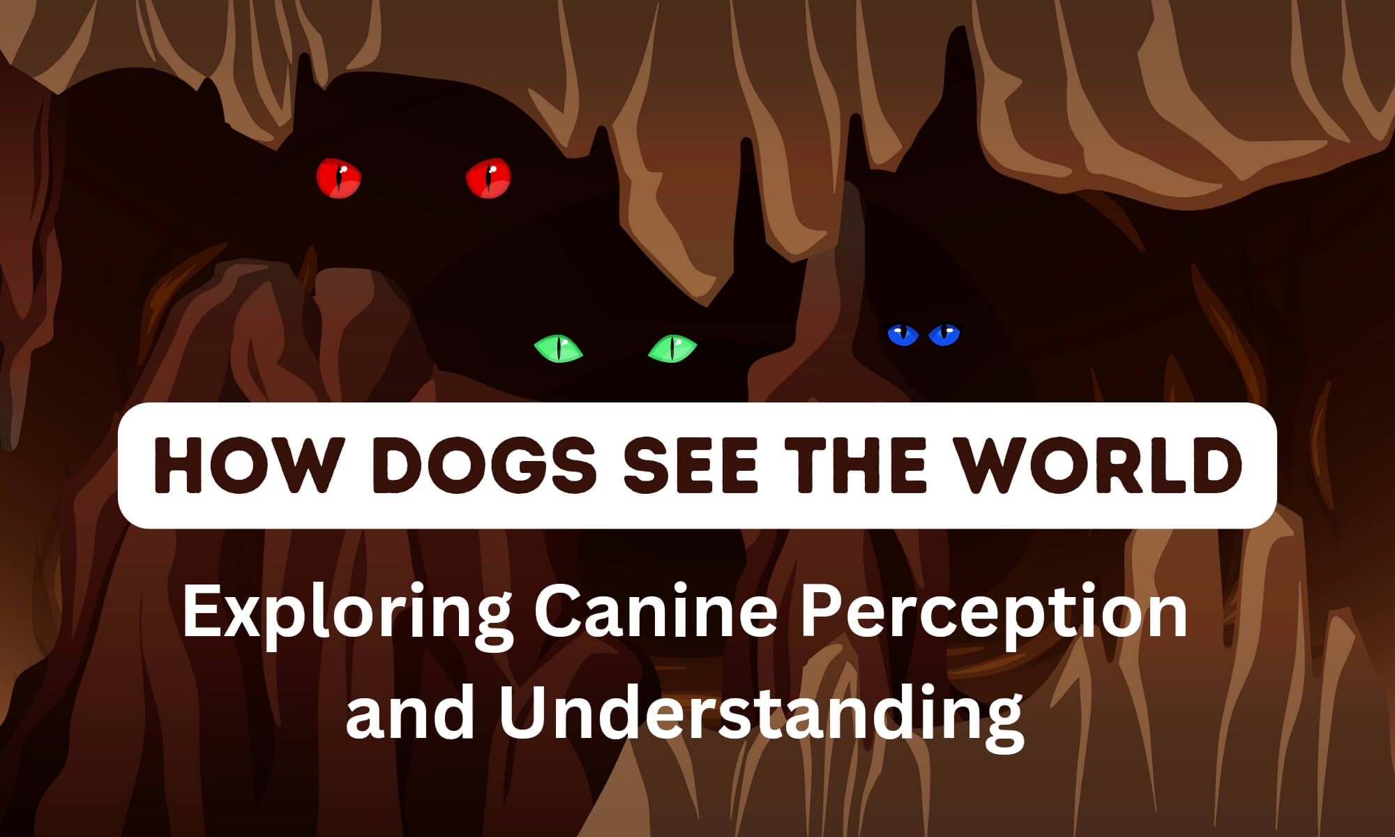 How Dogs See the World: Exploring Canine Perception and Understanding ...