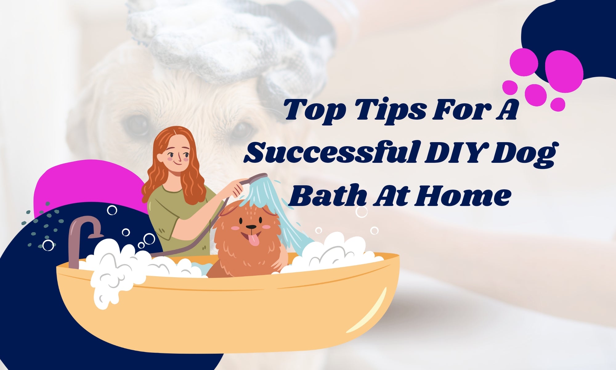 Top Tips for a Successful DIY Dog Bath at Home | Pooch Ooze